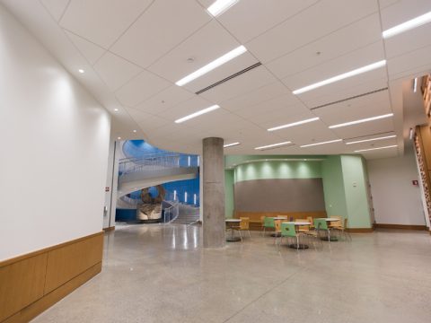 Educational Building Ceilings - Vanderbilt University